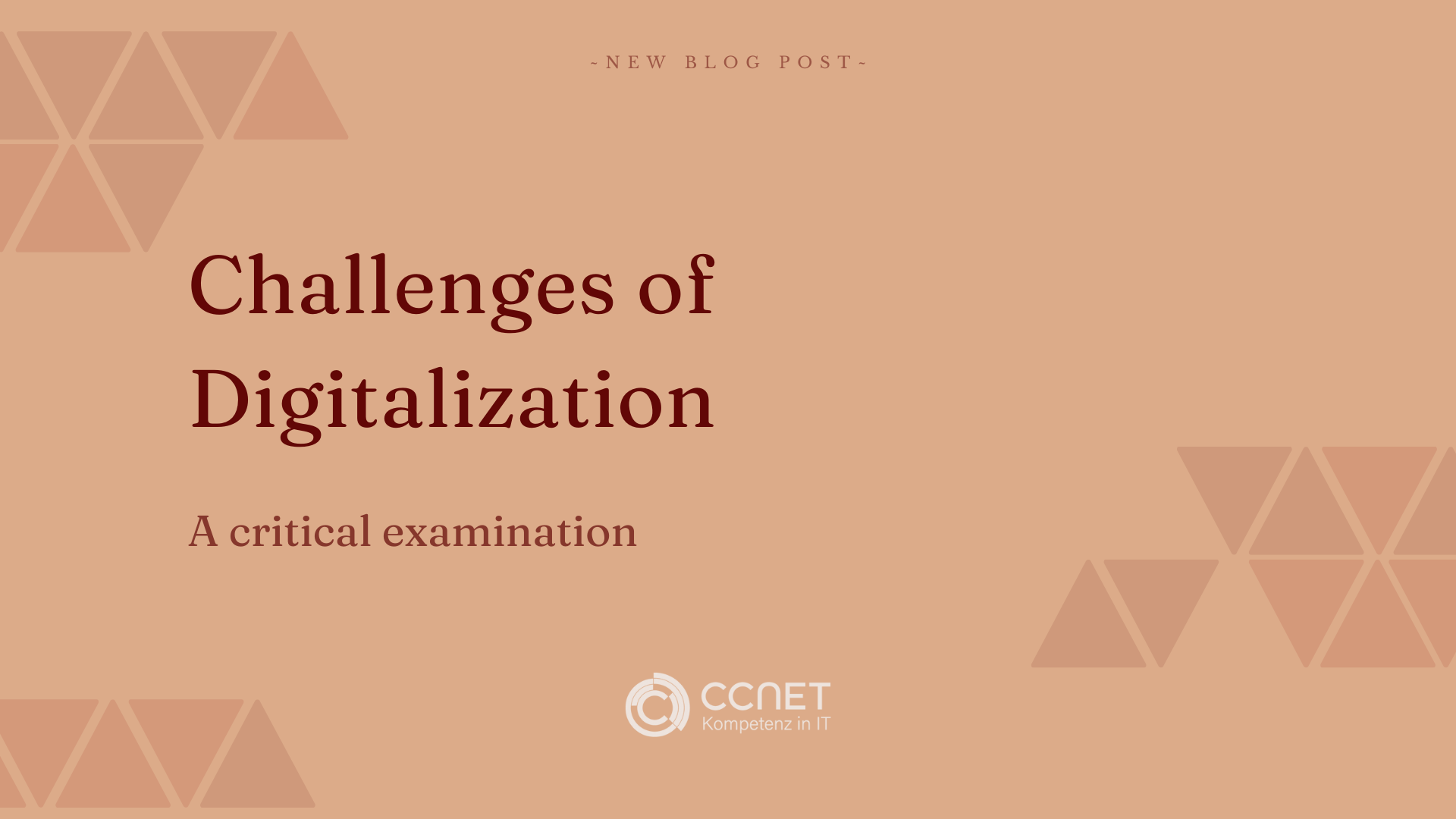 Challenges of Digitalization: A Critical Review